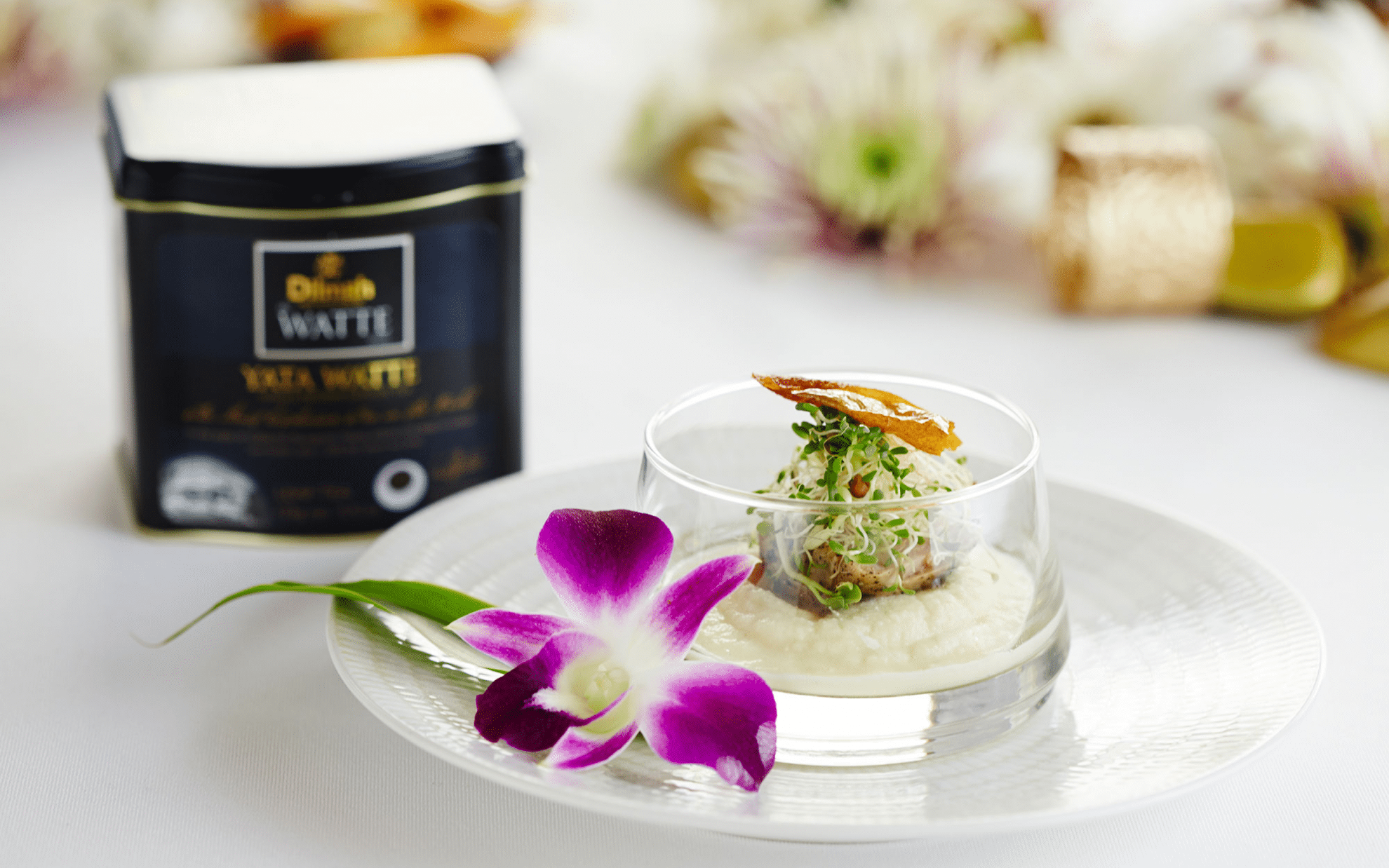 World Chefs Without Borders Launch Chefs Social Responsibility For ...