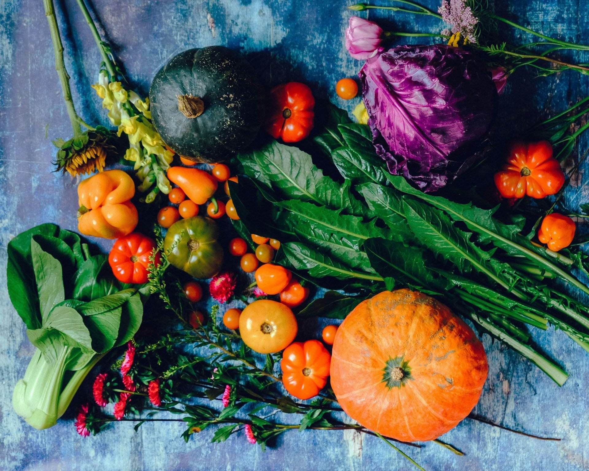 The Future of Sustainable Cooking: Eco-Friendly Kitchens - WORLDCHEFS